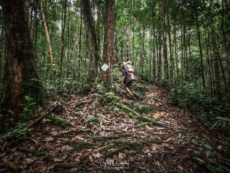 5D4N Amazing Mt Murud - Cuti-CutiMalaysia.net
